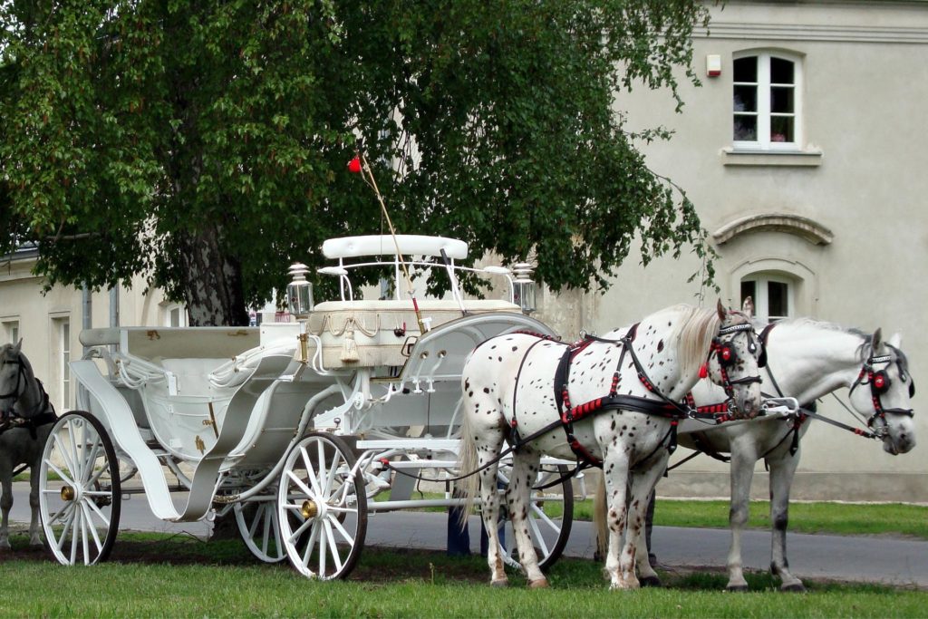 Královský kočár - svatební hra pro novomanžele a 9 hostů